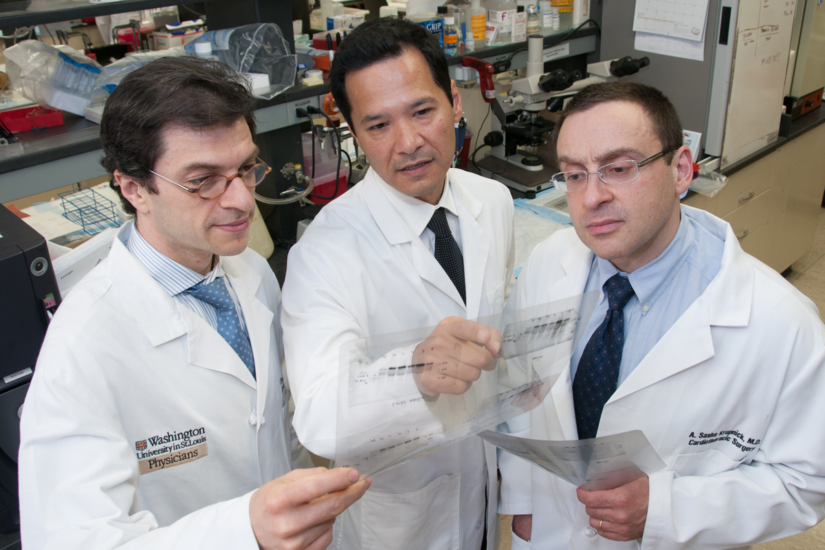 Lung transplantation: Bench science pursues solutions for long-term ...