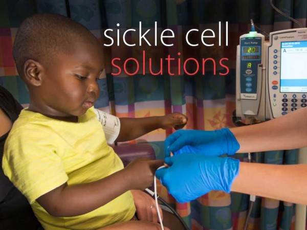 Sickle cell solutions – WashU Medicine