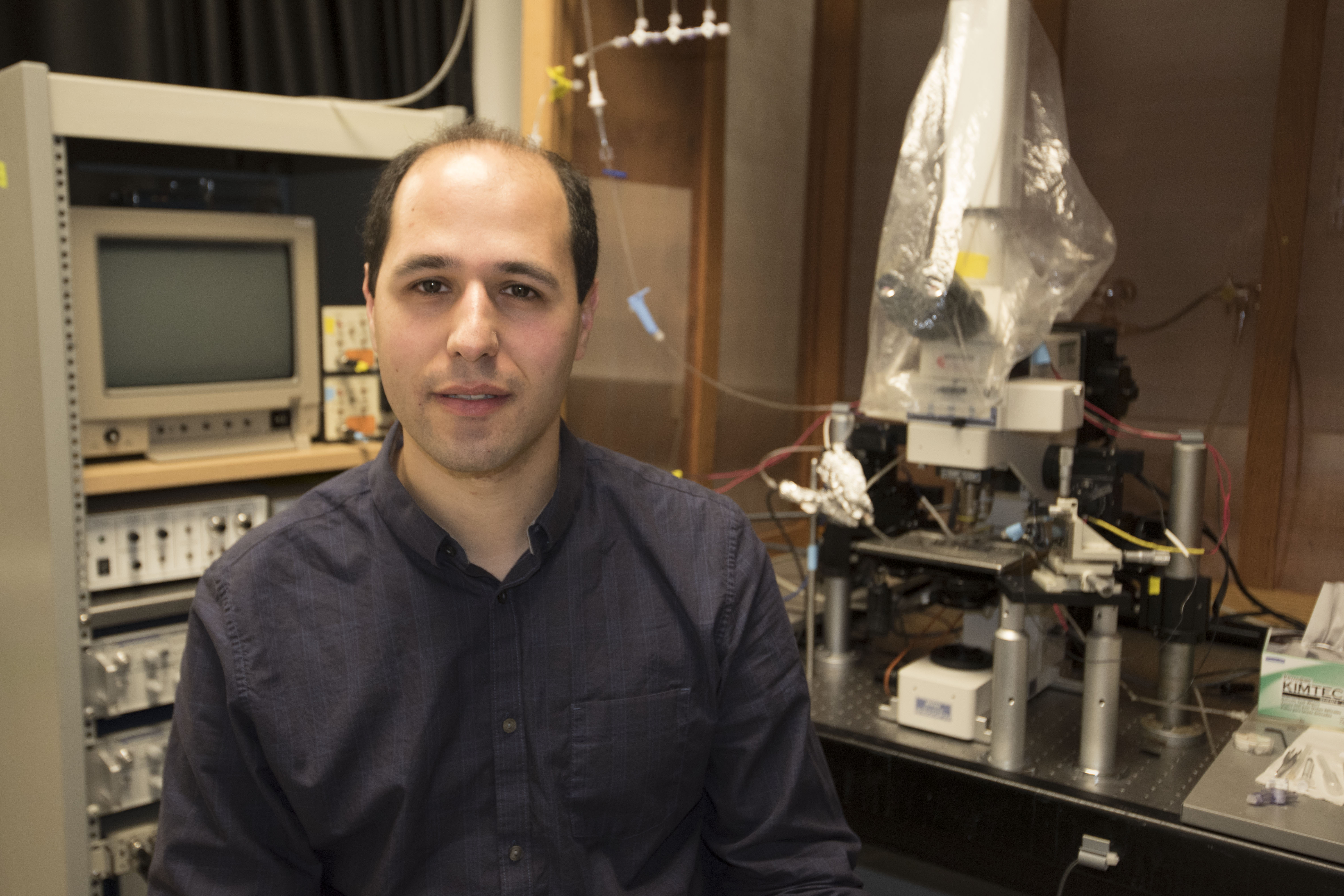 New explanation offered for symptoms of fragile X syndrome – WashU Medicine