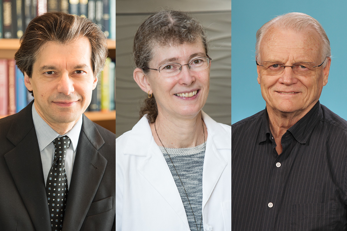AAAS names 3 faculty as 2016 fellows – WashU Medicine