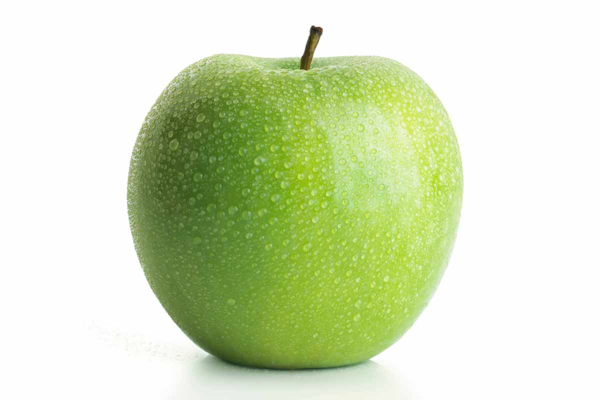 Killer Figure: Why having an apple shape can be deadly – WashU Medicine