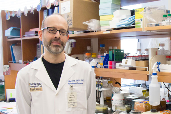 Diamond named Gasser Professor of Medicine – WashU Medicine