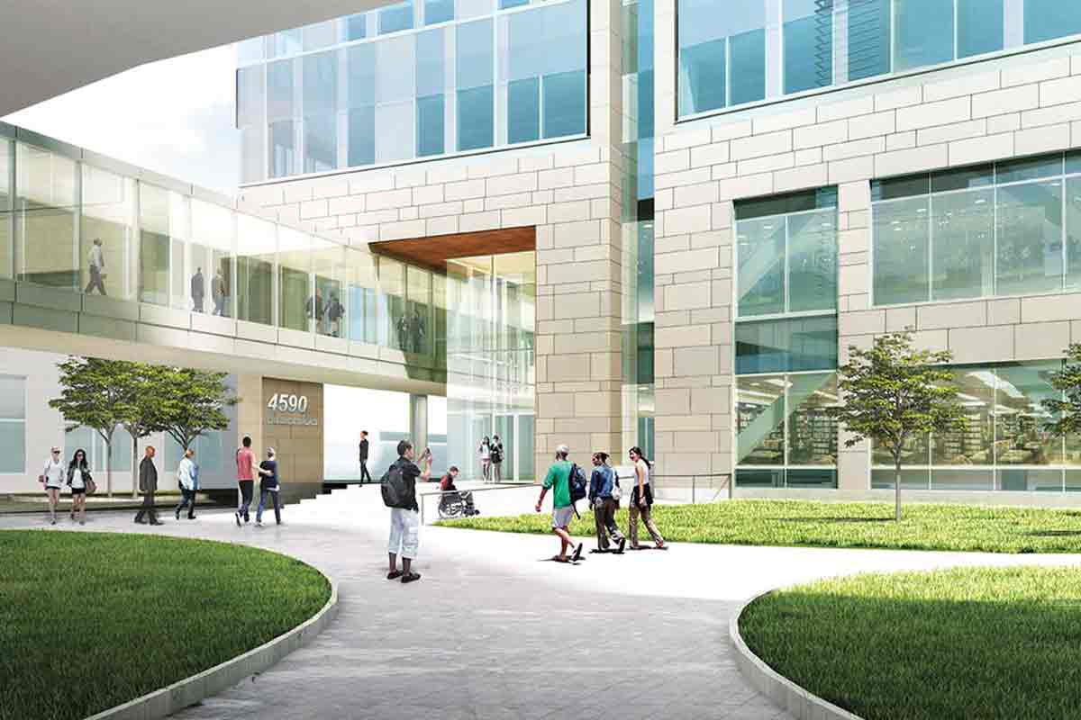 Building connections – WashU Medicine