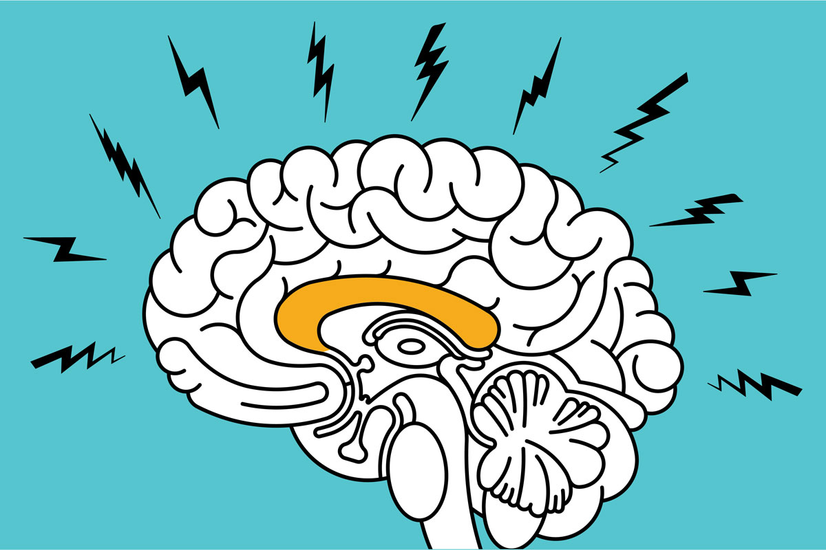 Anxious? Cellular roots of anxiety identified – WashU Medicine