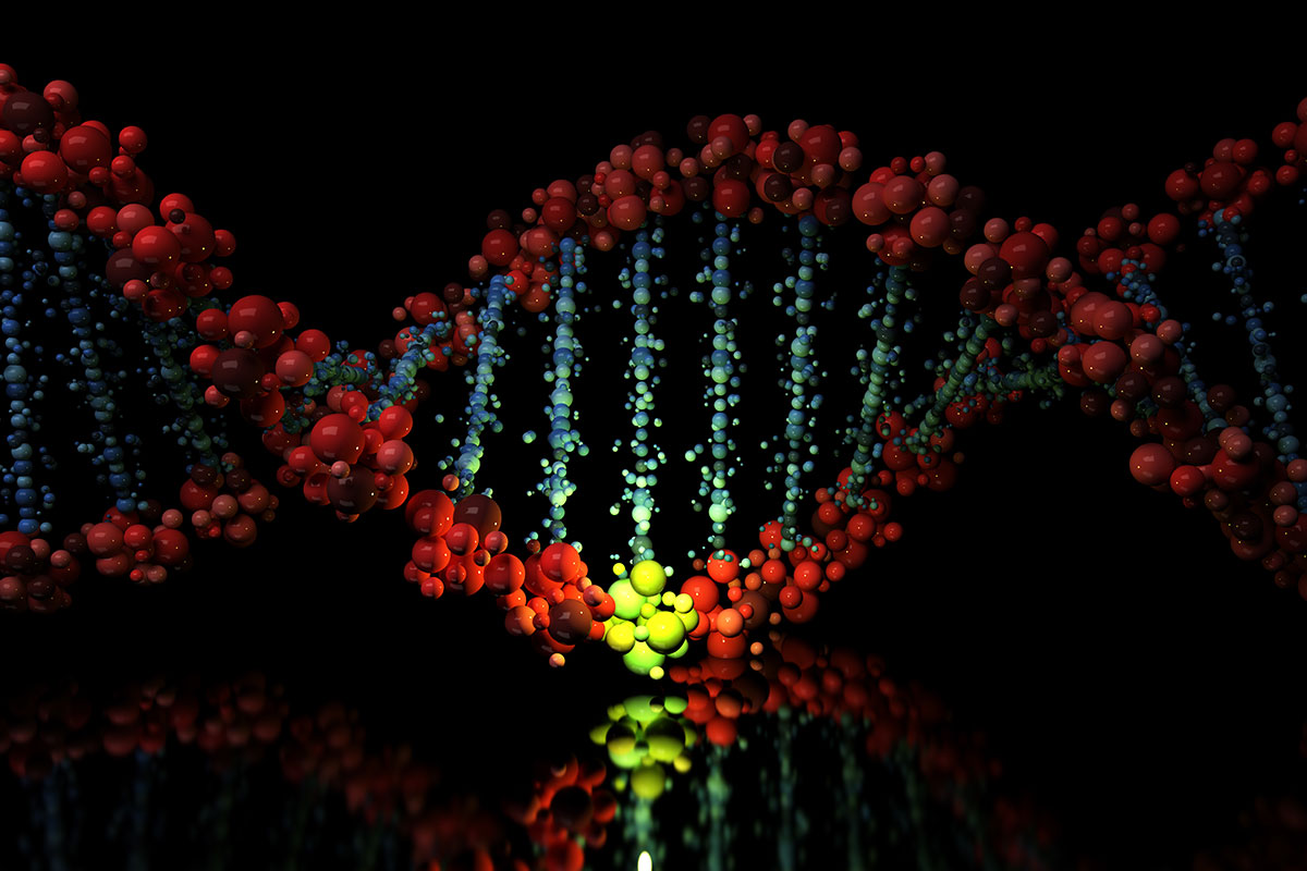 How cells detect, mend DNA damage may improve chemotherapy – WashU Medicine