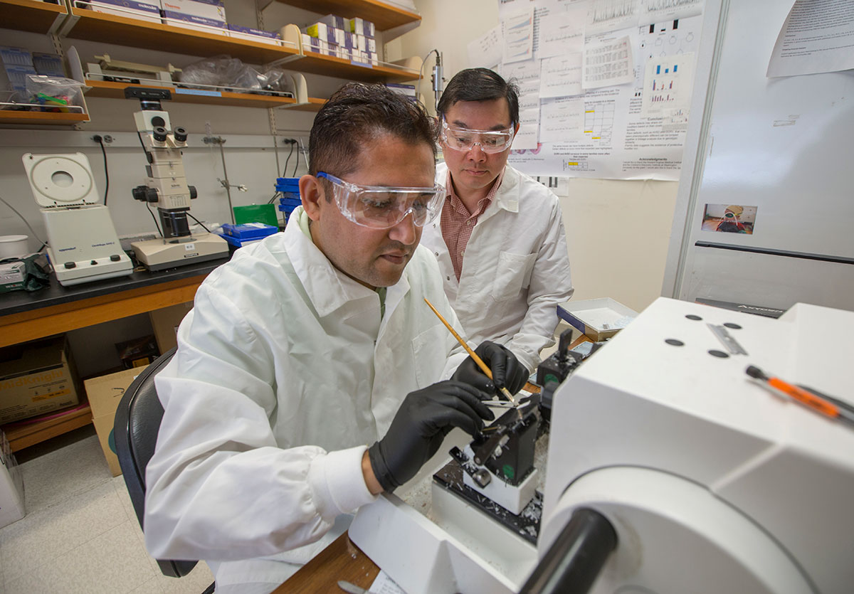Washington People: Patrick Jay – WashU Medicine