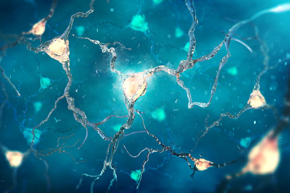 Link between 2 key Alzheimer’s proteins explained – WashU Medicine