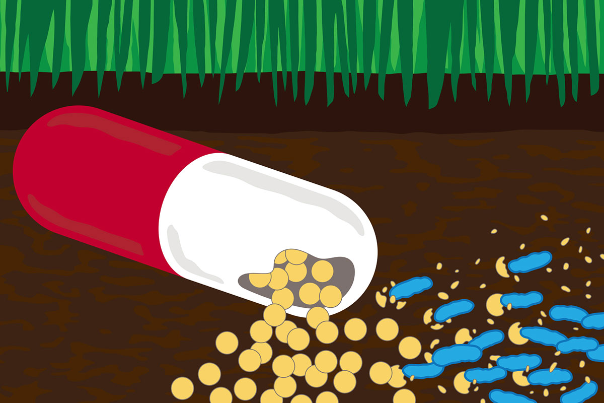 Bacteria’s appetite may be key to cleaning up antibiotic contamination ...
