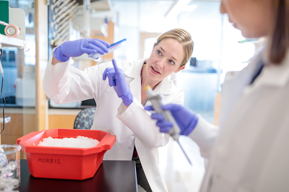 Scientists design way to track steps of cells’ development – WashU Medicine