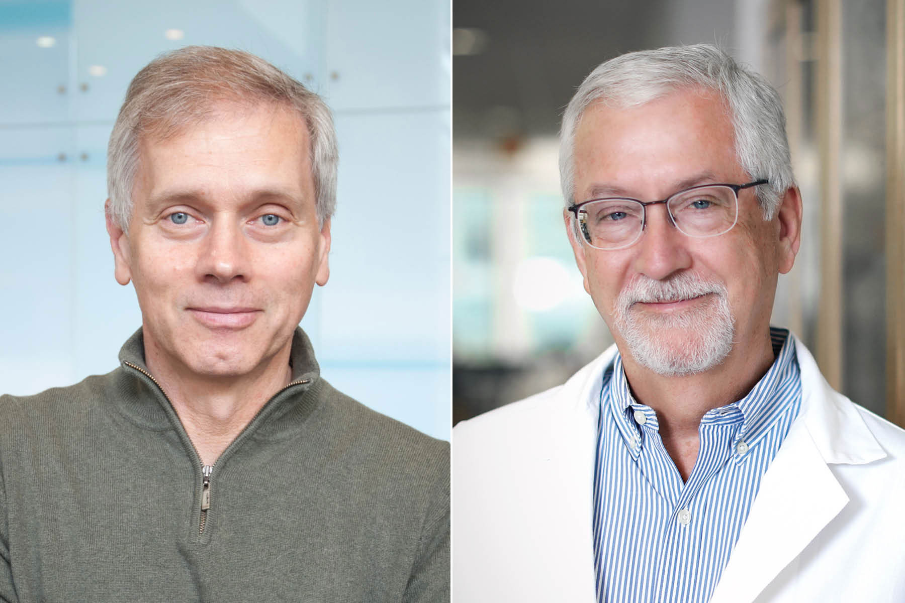Colonna, Ley elected to National Academy of Sciences – WashU Medicine