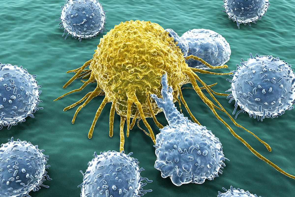 Immune-boosting compound makes immunotherapy effective against ...