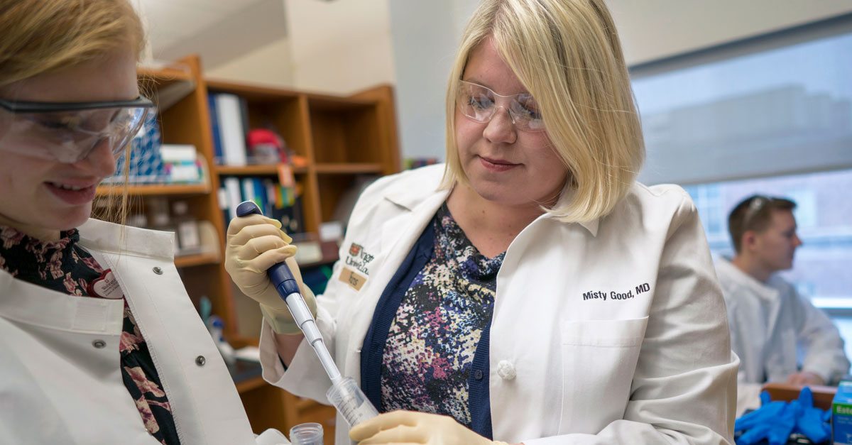 School of Medicine receives award to develop physician-scientists ...