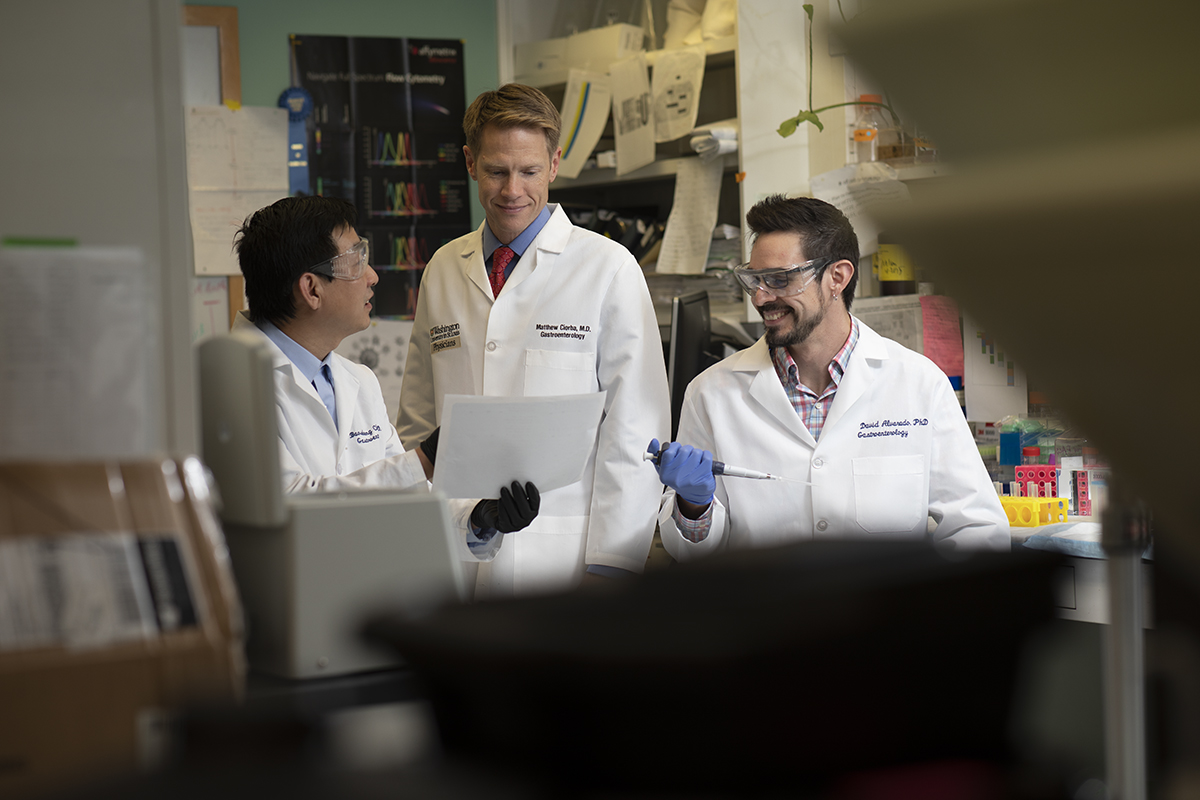 Radiation therapy for colon cancer works better when specific protein ...