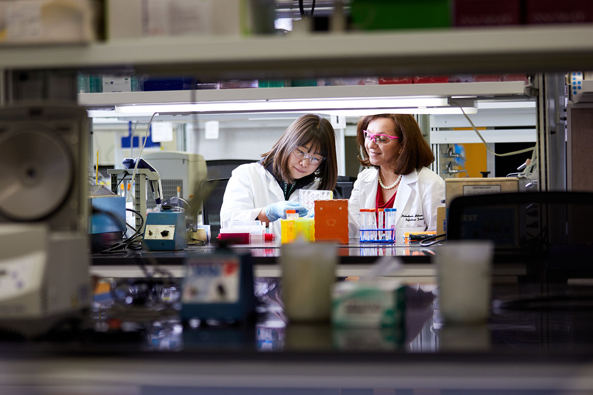 $5 million supports research into neglected tropical diseases – WashU ...