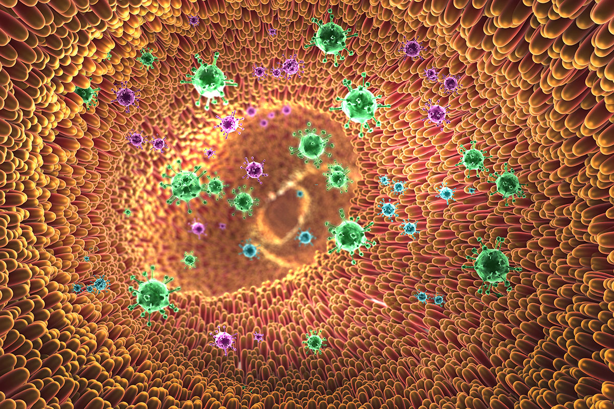 Role of gut viruses in inflammatory bowel disease is focus of $8.5 ...