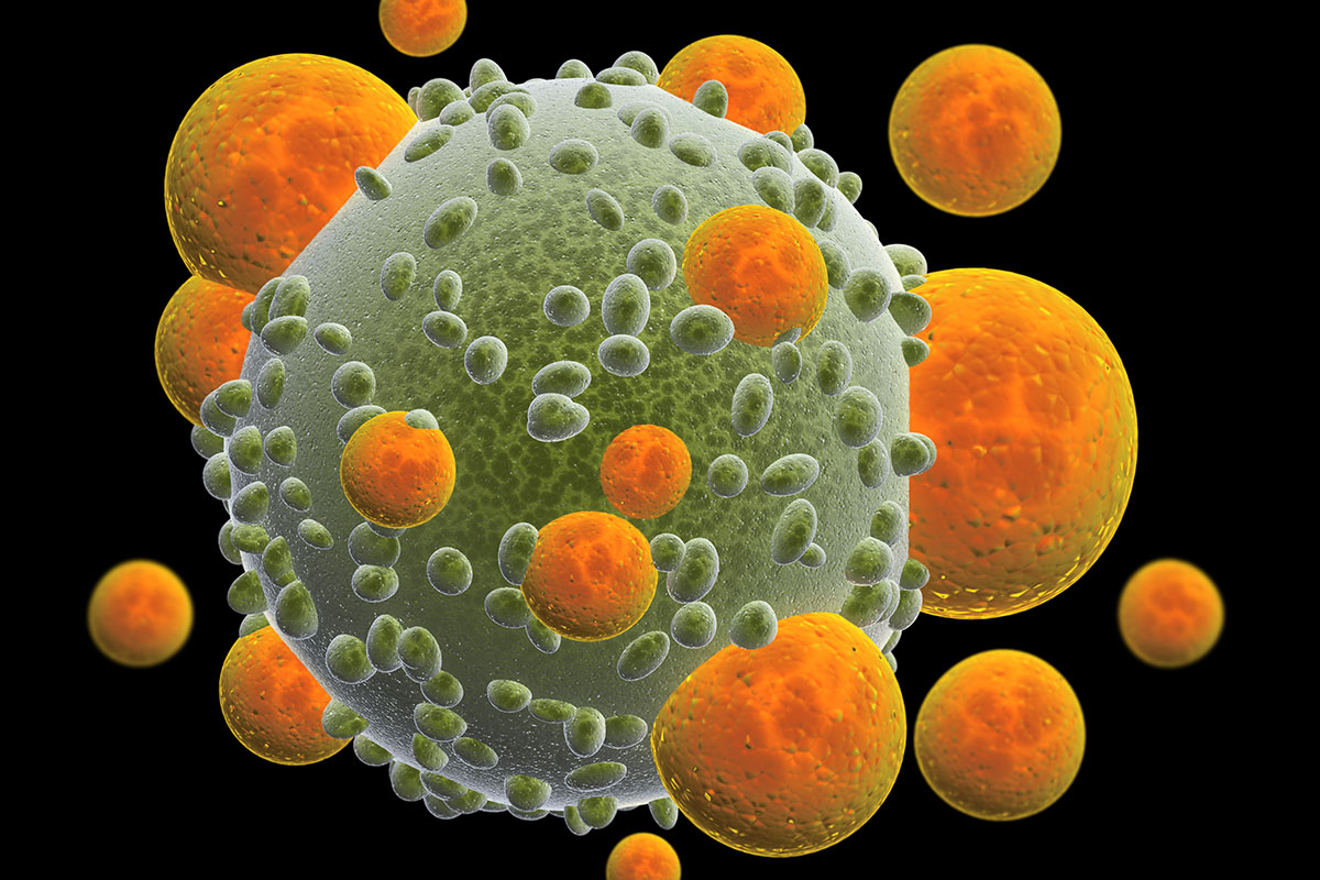 New discovery could help improve cancer vaccines – WashU Medicine