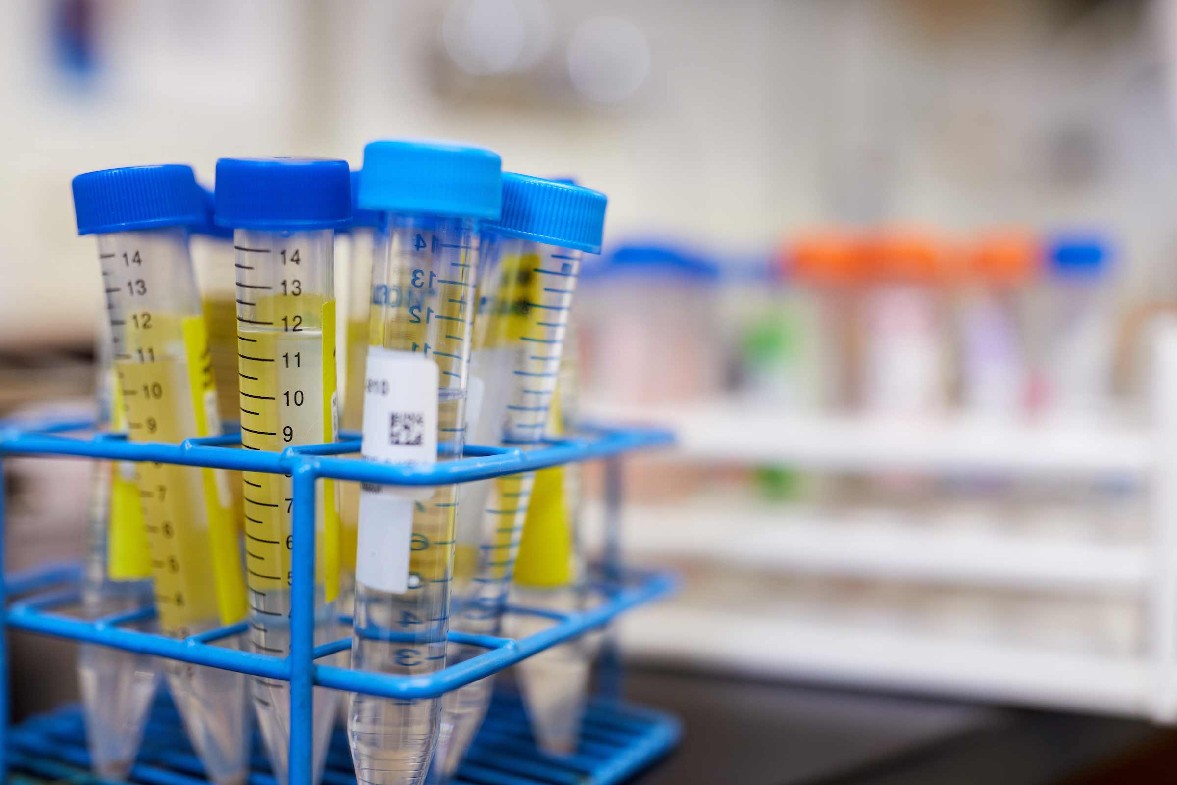 BJC Investigators Program: Transformative Basic Science Research ...