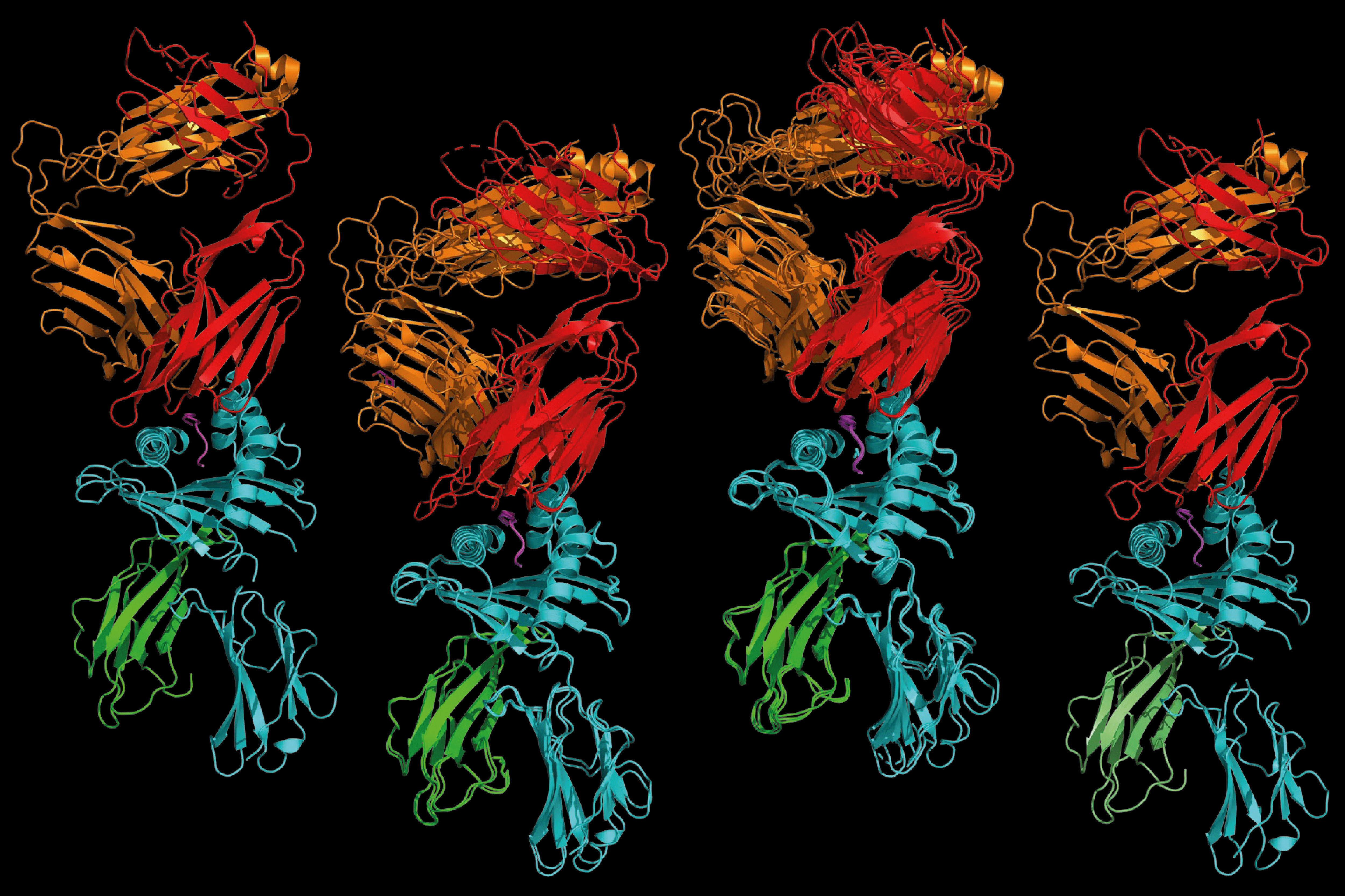 Evidence of autoimmunity’s origins uncovered via new approach – WashU ...