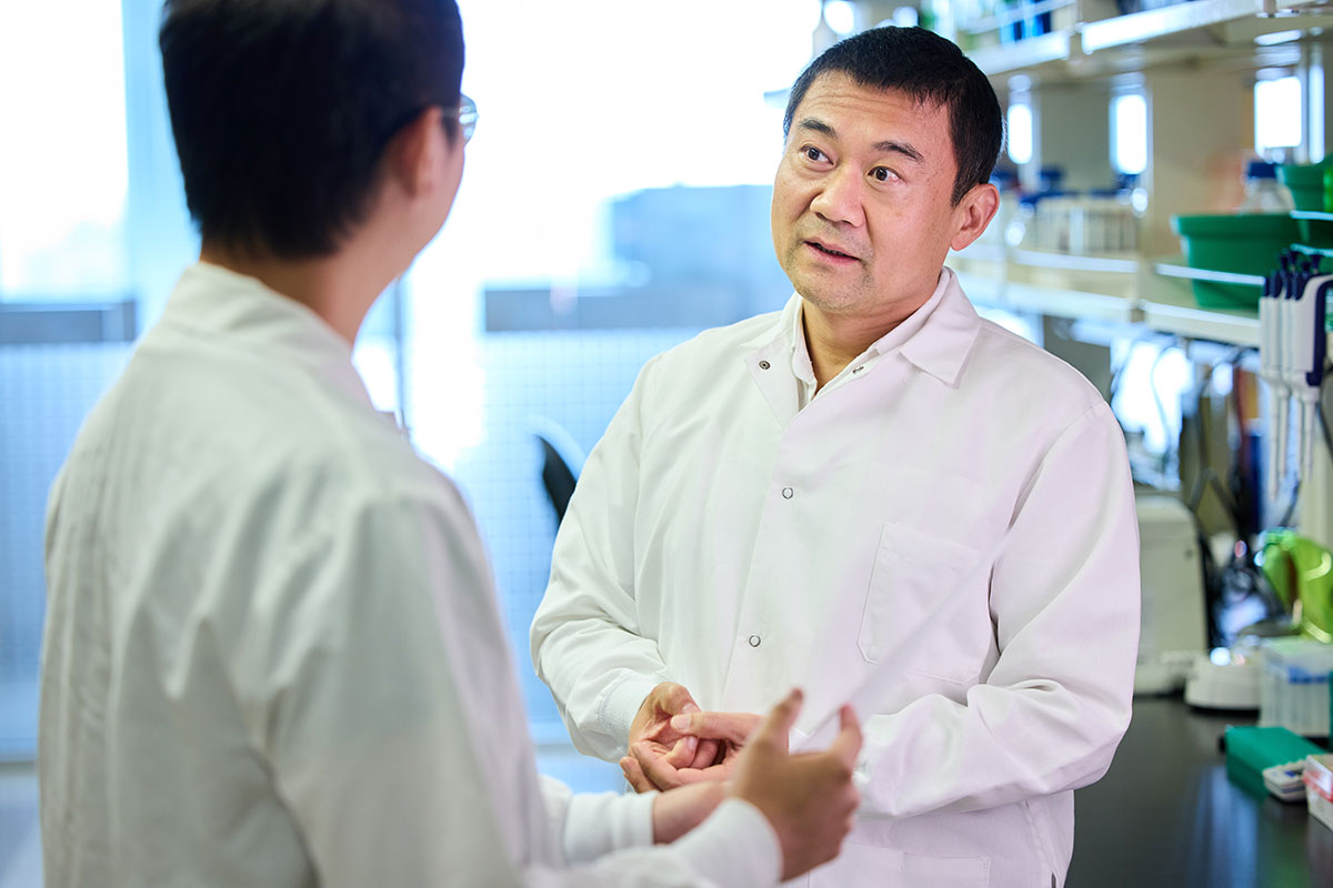 Wang, nationally recognized geneticist, named head of genetics – WashU ...