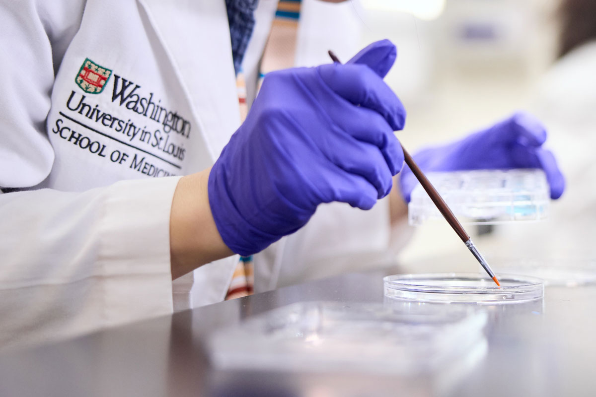 WashU Medicine rises to No. 2 in nation in NIH research funding – WashU ...