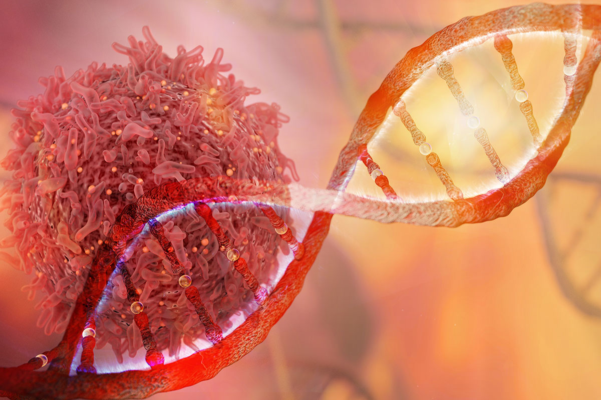 Study sheds light on how inherited cancer mutations drive tumor growth ...