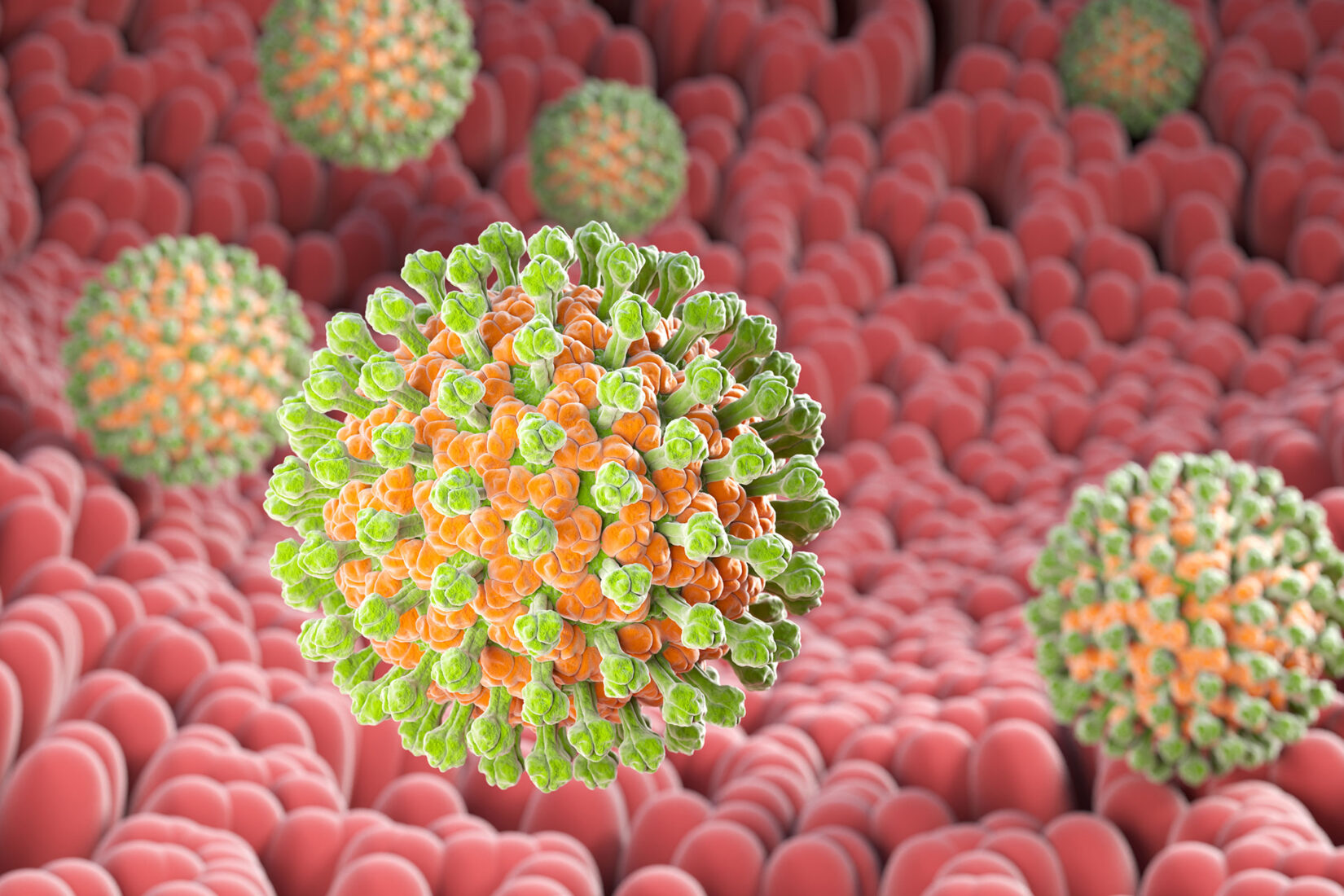 Researchers find key to stopping deadly infection – WashU Medicine