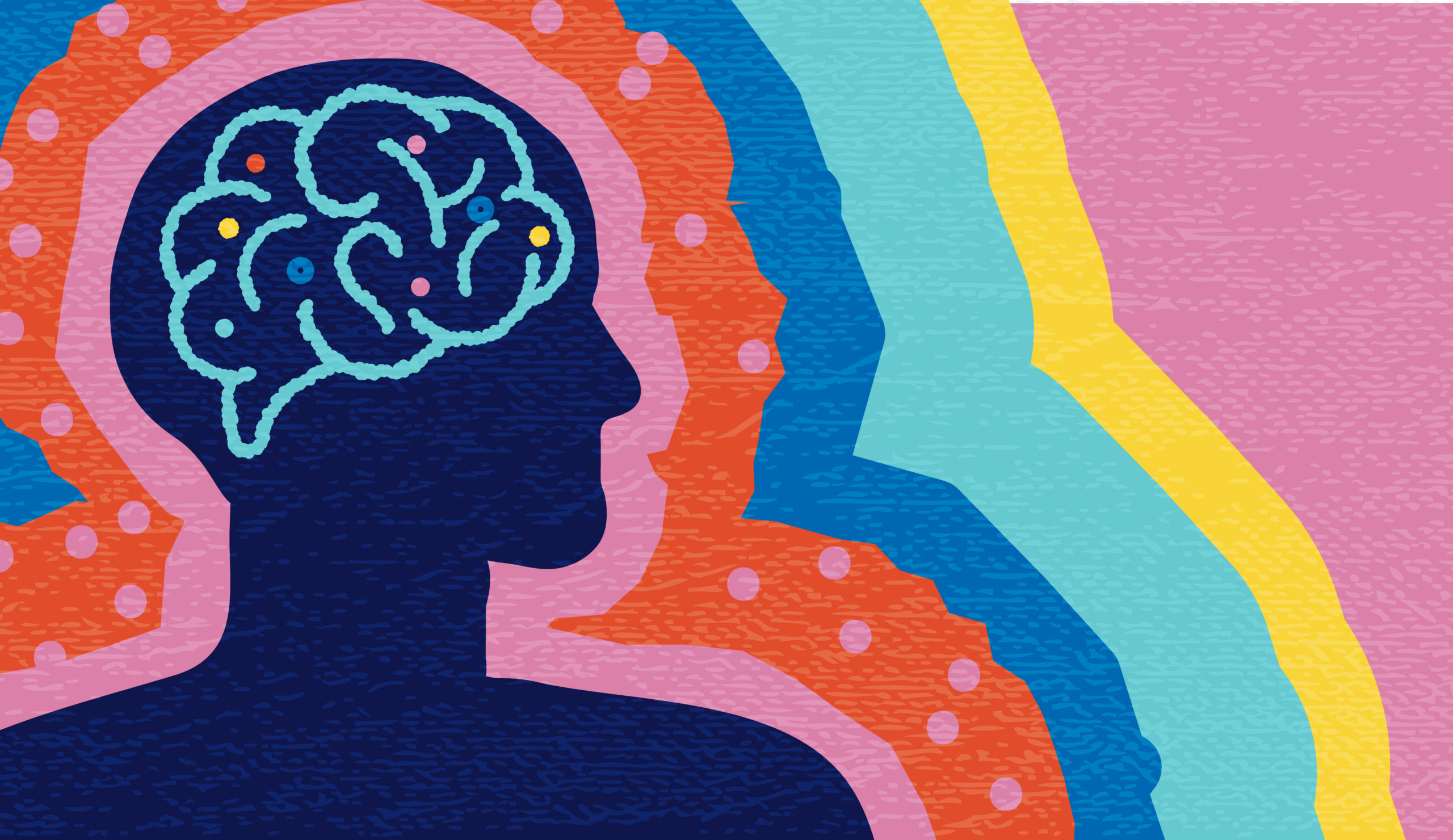 How ‘skull drains’ keep the brain safe from damage and pathogens ...